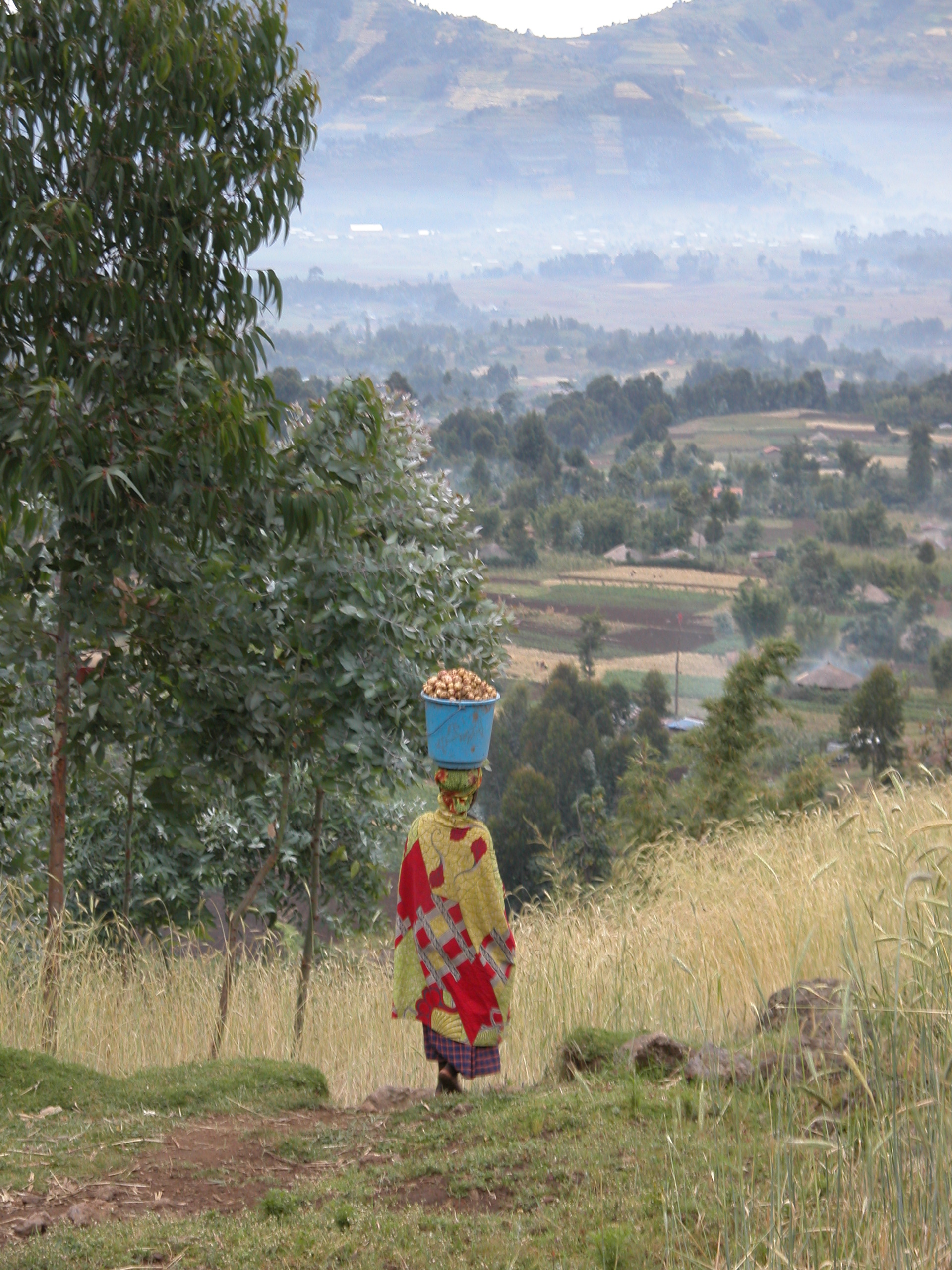 Mountain scenery - Rwanda | Terra Incognita Ecotours